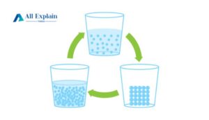 20 Things That Come in Threes (3's) With Images