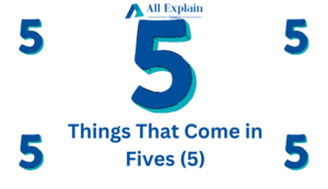 40 Things That Come in Fives (5) With Images