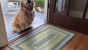 10 Everyday Things That Come in Rectangle Shaped