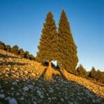 15 Things That Are 100 Feet (ft) Long - How Far is 100 Feet?