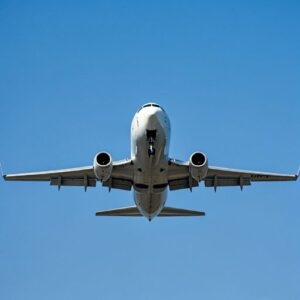 15 Things That Are 100 Feet (ft) Long - How Far is 100 Feet?